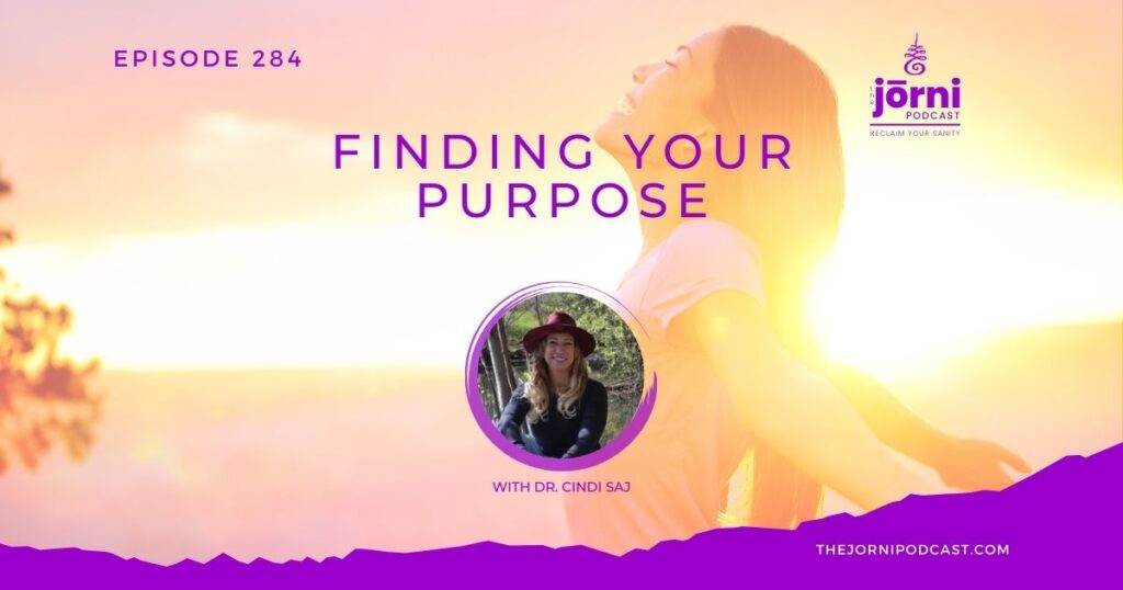 Episode 284 - Finding Your Purpose with Dr. Cindi Saj | The Jōrni Podcast